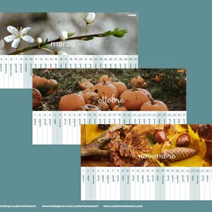 2024 Printable Wall Calendar in Italian, North Hemisphere Annual ...