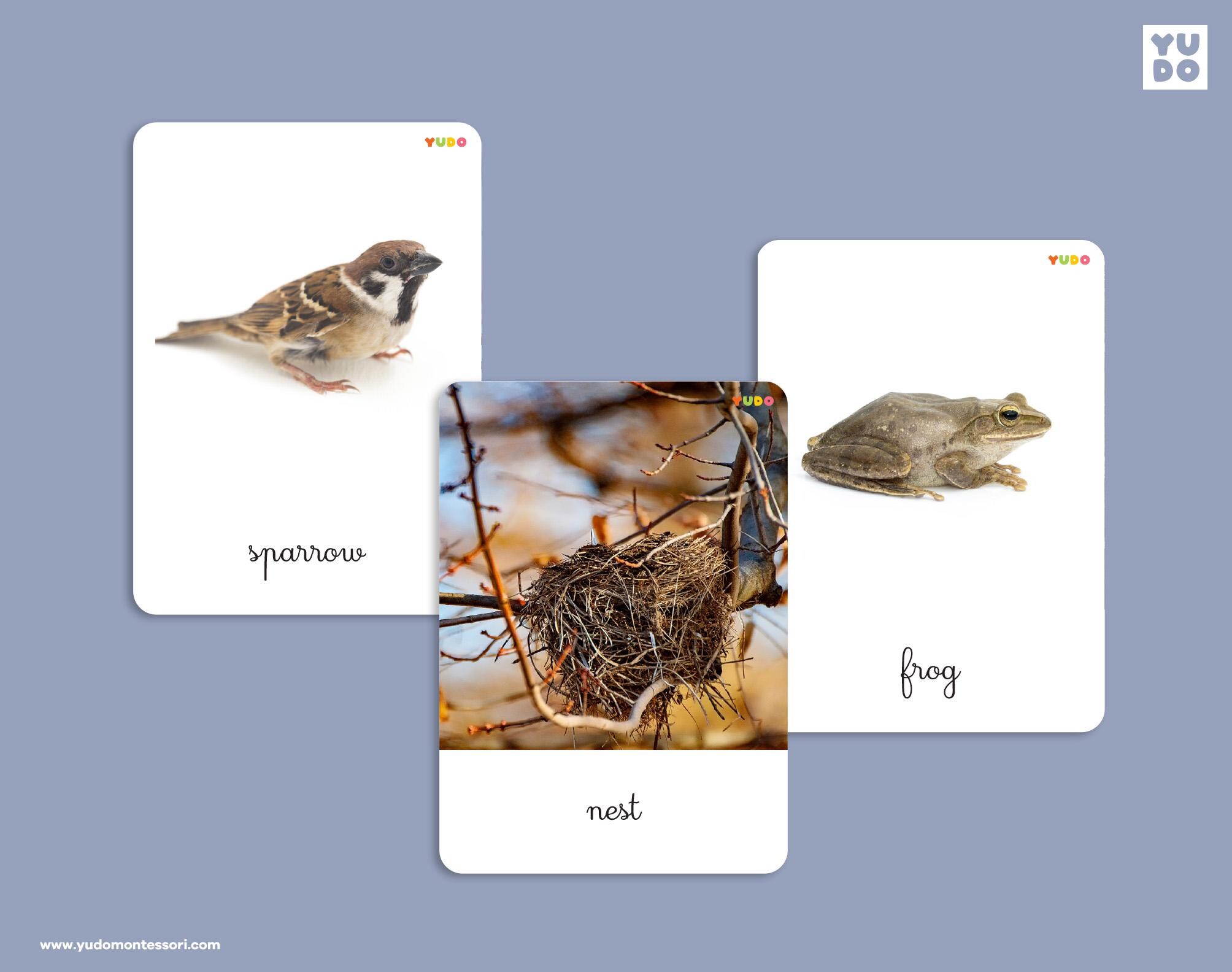 28 Montessori Animal Homes 3 Part Cards for Kids, Animals and Their ...