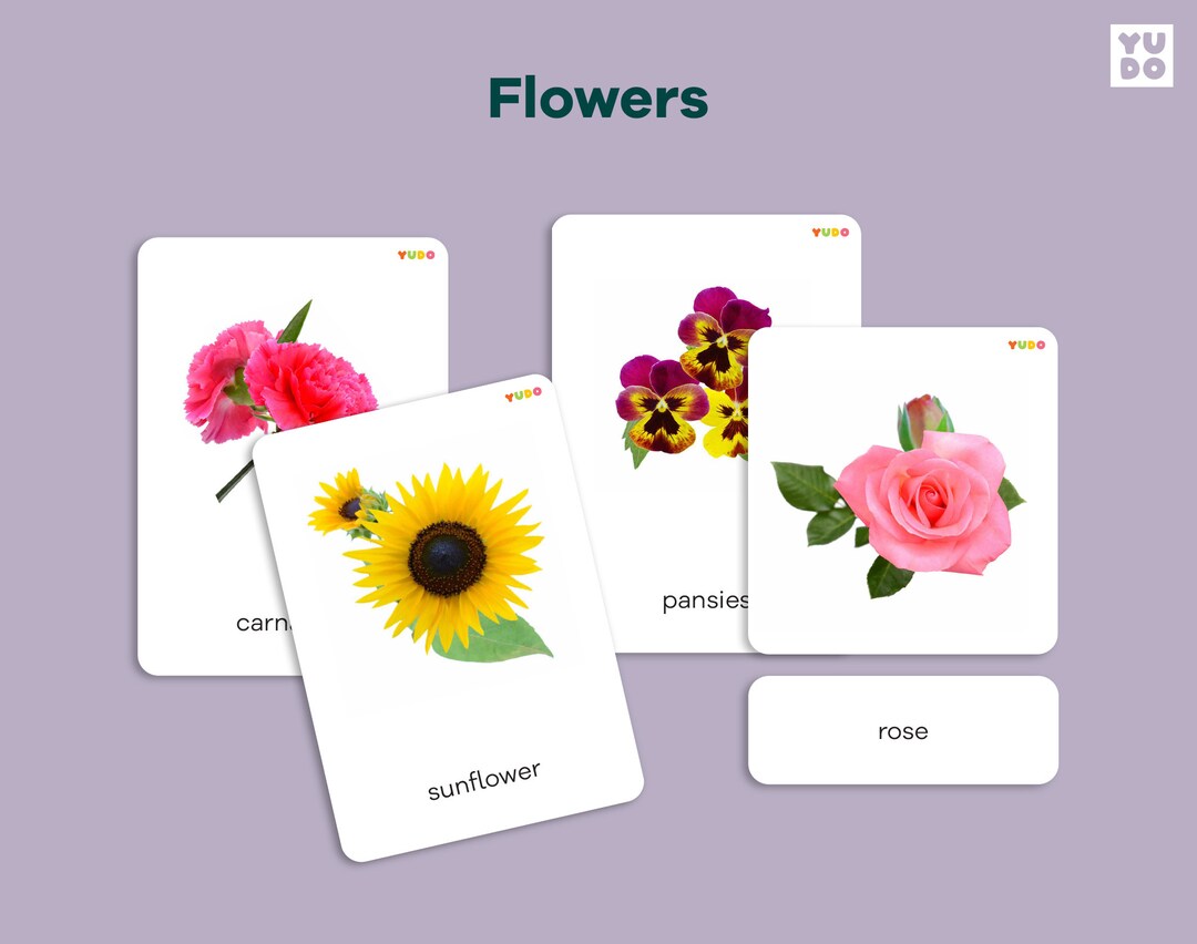FLOWERS Botanical Cards, Spring Activity for Preschool, Vocabulary ...