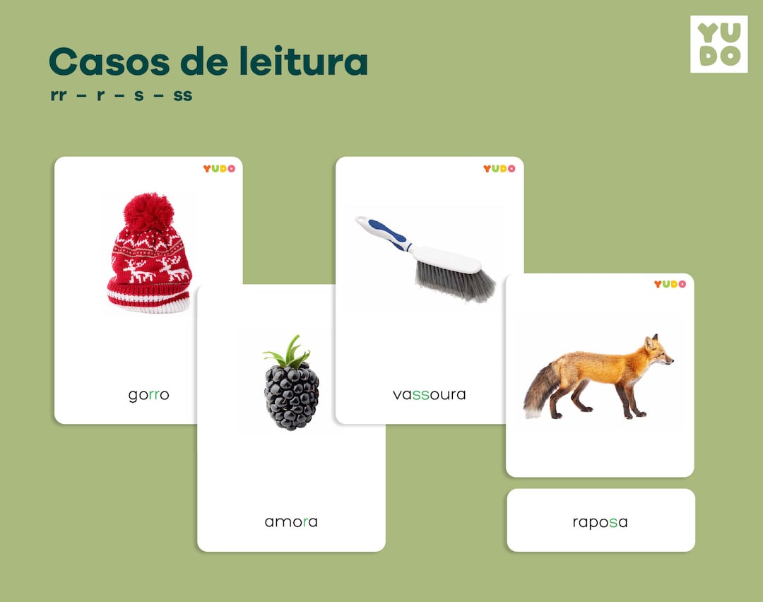 32 Special Reading Case Cards in Portuguese, Montessori 3 Part Cards ...