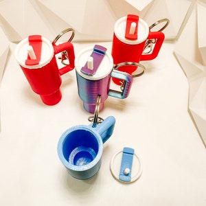 Mini Stanley Inspired Tumbler Keychain, With Storage, Travel Pill ...