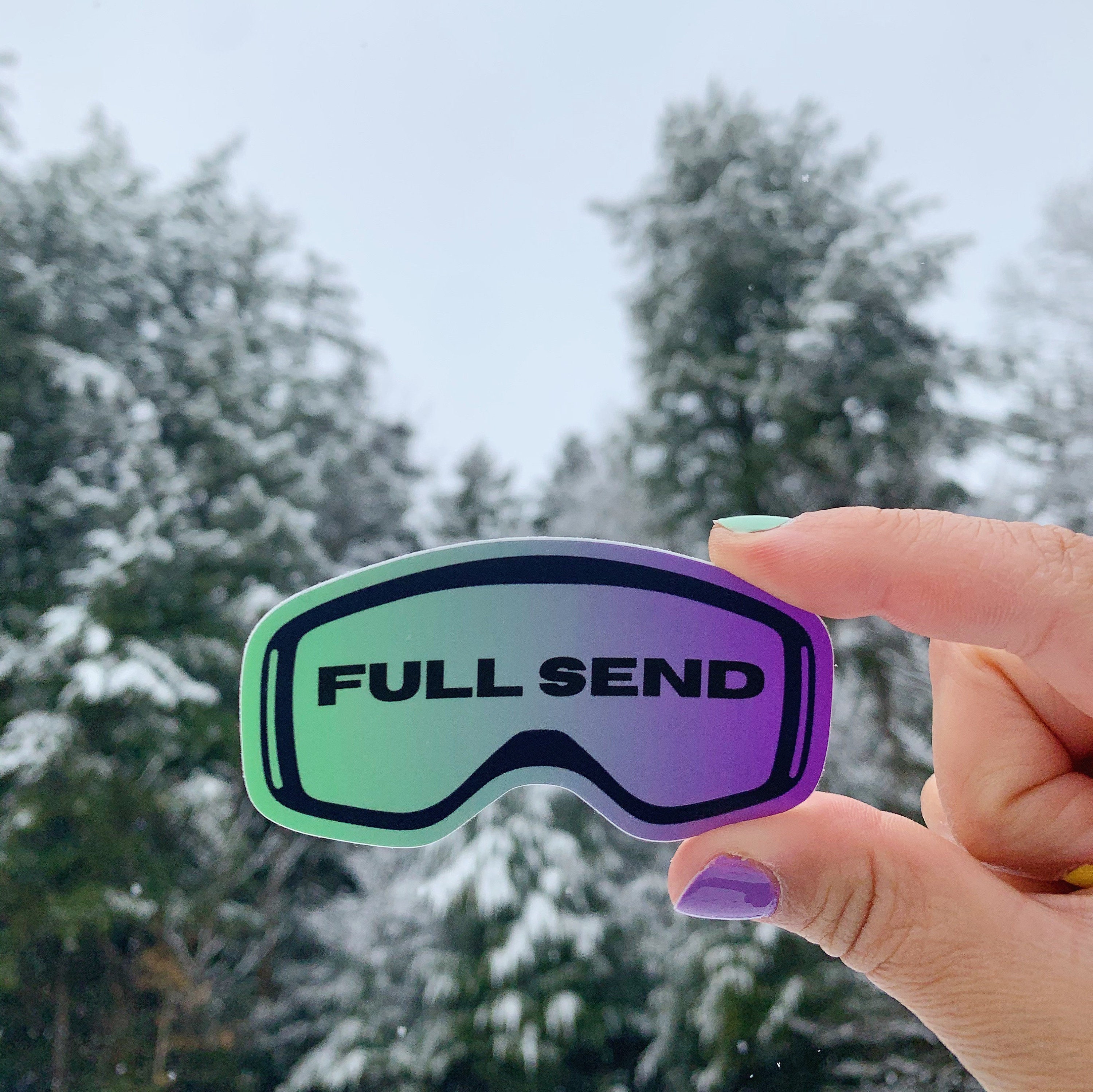 Full Send Goggle Sticker Gift for Skiers or Mountain Lovers - Etsy