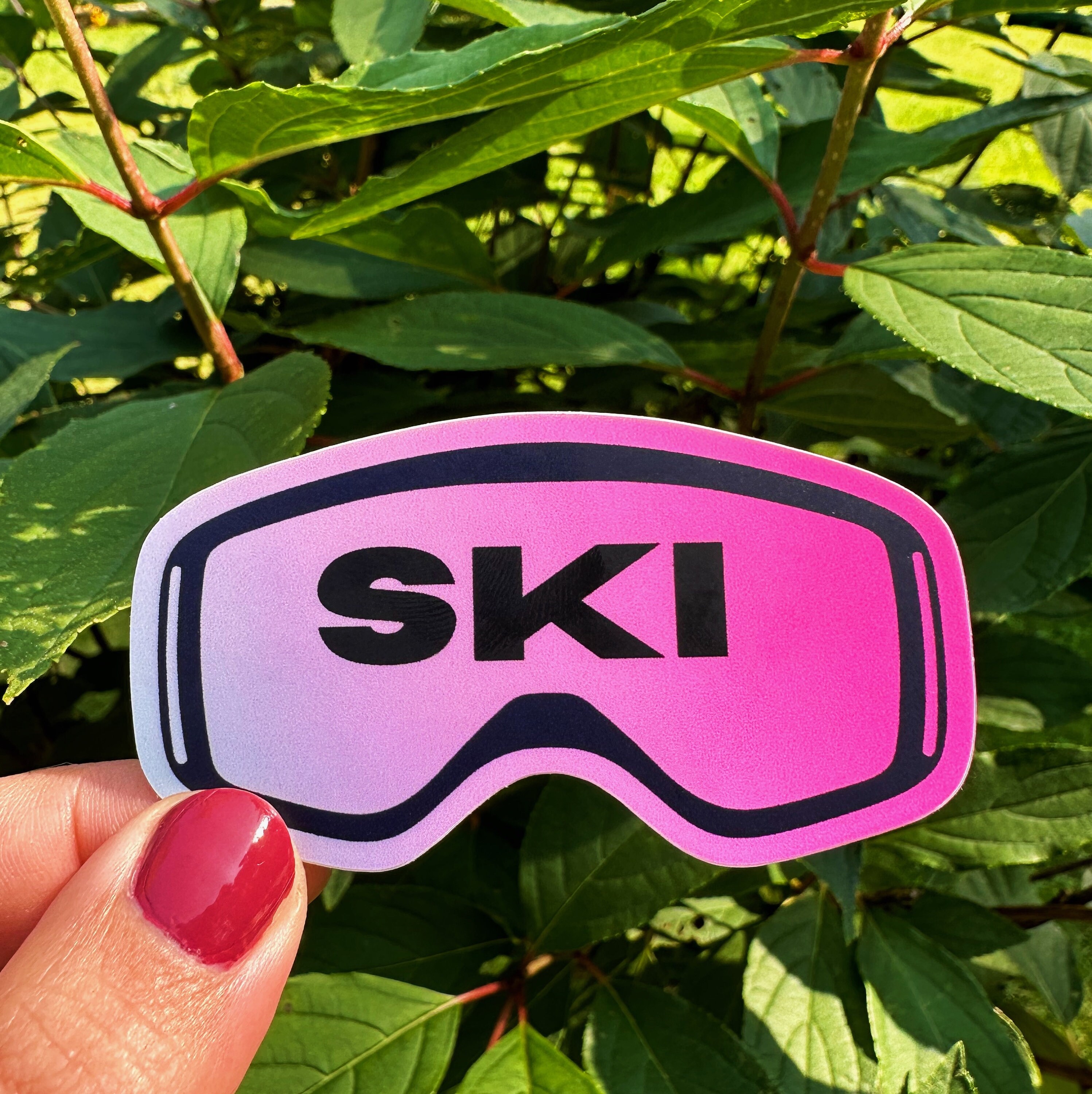Pink Ski Goggle Sticker: Weatherproof Vinyl Decal - Etsy