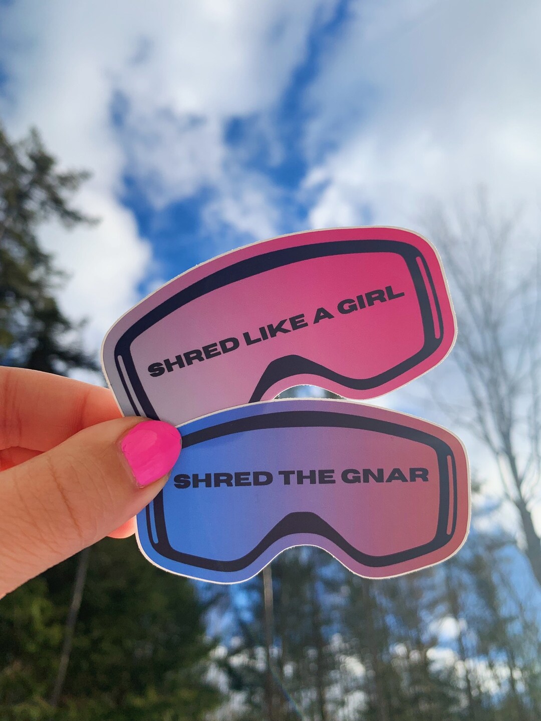 Shred Goggle Sticker Pack, Shred It Girl and Shred the Gnar Ski or ...