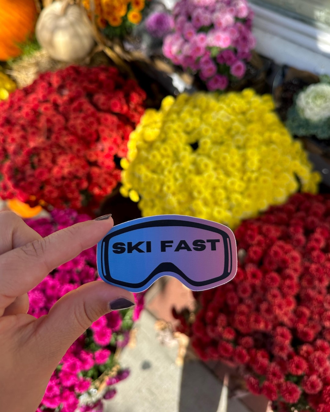 Ski Fast Goggle Sticker: Weatherproof Vinyl Decal - Etsy