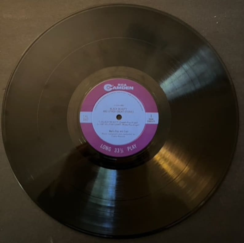 Vintage Black Beauty and Other Great Stories Album, C. 1961 - Etsy