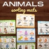 Color Matching Activity for Kids, Sorting Colors in Jars, Toddler Color ...