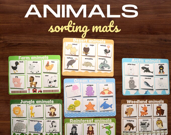 Four Seasons Sorting Mats for Toddlers - Etsy Canada
