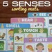 Buy Five Sense Sorting Mats Activity Online in India - Etsy