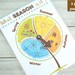 Four Seasons Printable Busy Book Printable Pdf Page for Circle Time ...