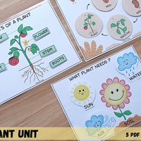 Cactus Life Cycle Learning Activity for Kids A4 and 11x8.5 Inch Digital ...