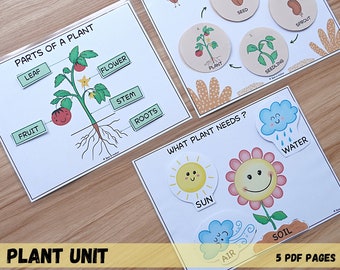 Editable Interactive Notebook Templates All Subjects - Etsy