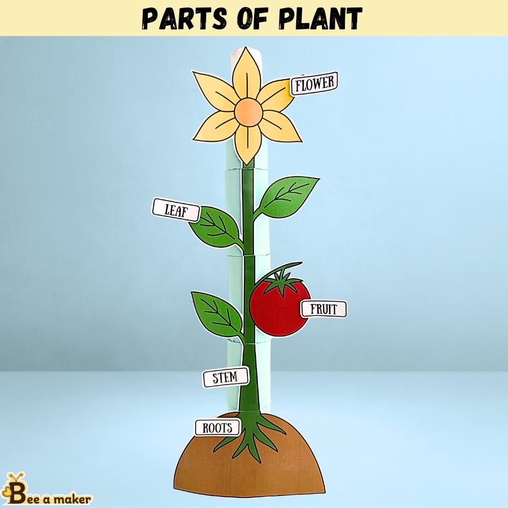 Parts of Plant Pdf, Science Activity Model - Etsy