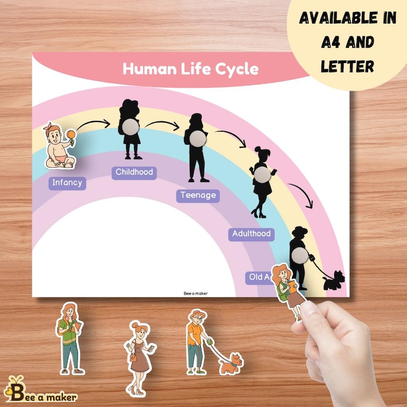 Human Life Cycle Activity Pack | Montessori Science Printable | Stages ...