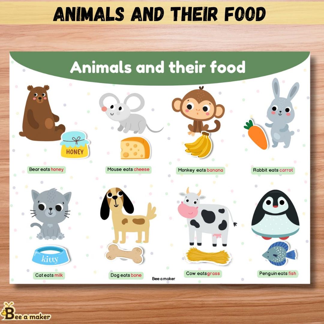 Animals and Their Food – Busy Book Matching Activity | Preschool ...