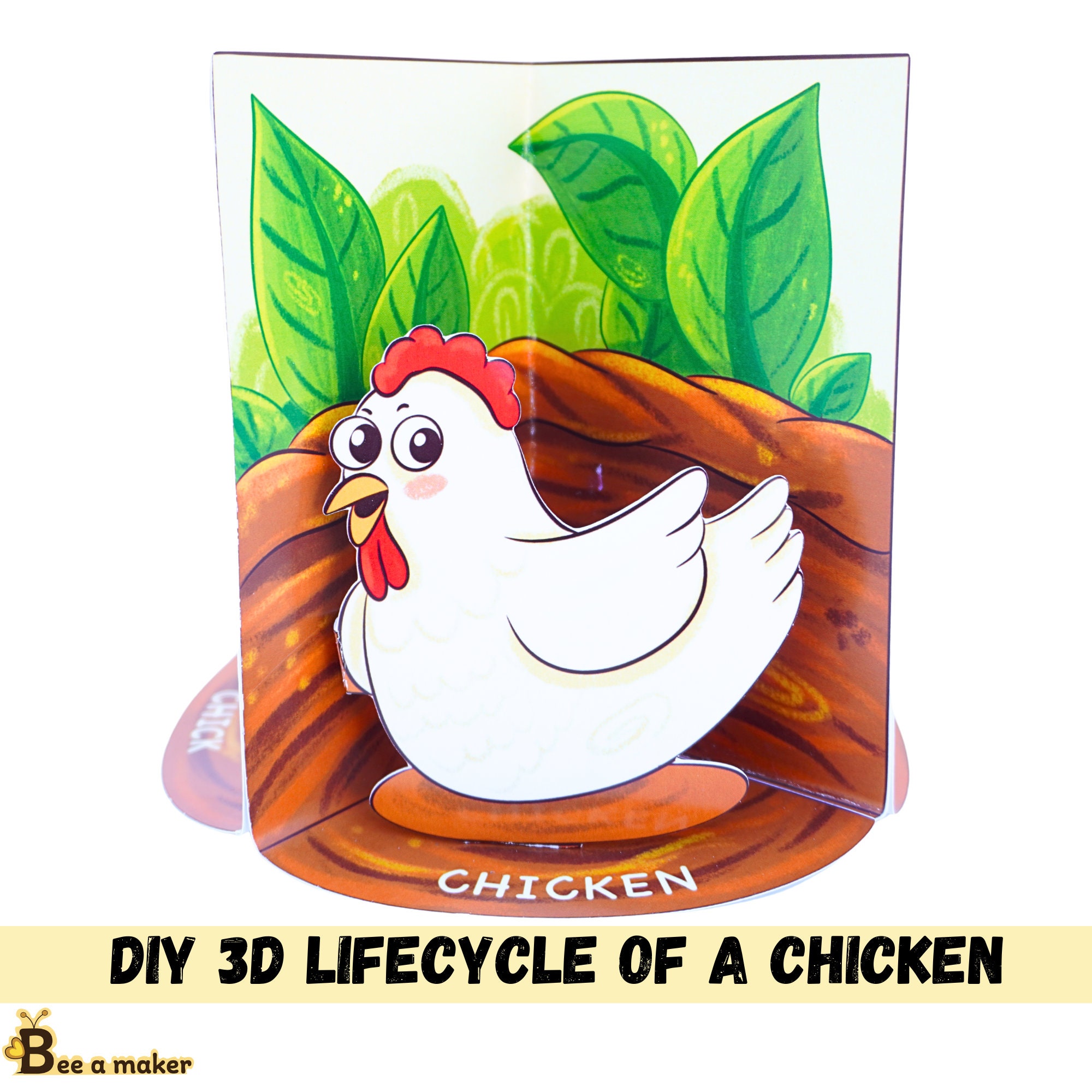 Chicken Lifecycle Printable Pdf 3d Craft Pages, Toddler, Preschool ...