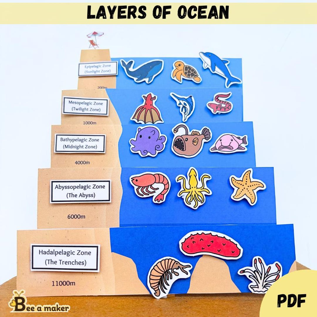 Layers of Ocean Printable Pdf, Science Model - Etsy