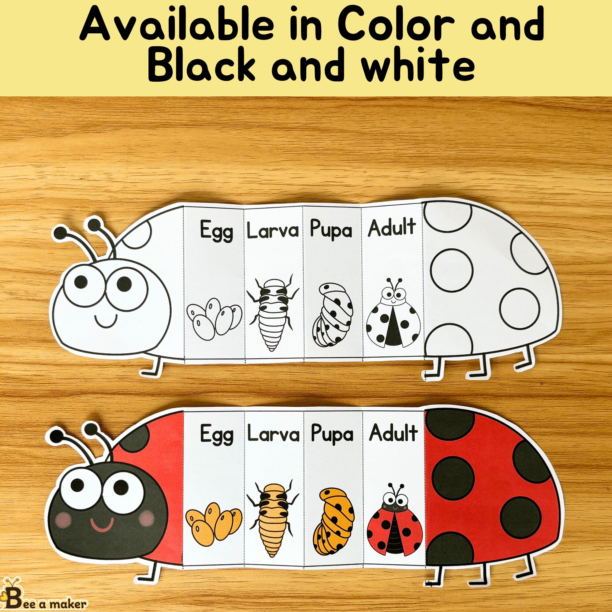 Ladybug Life Cycle Foldable - Etsy