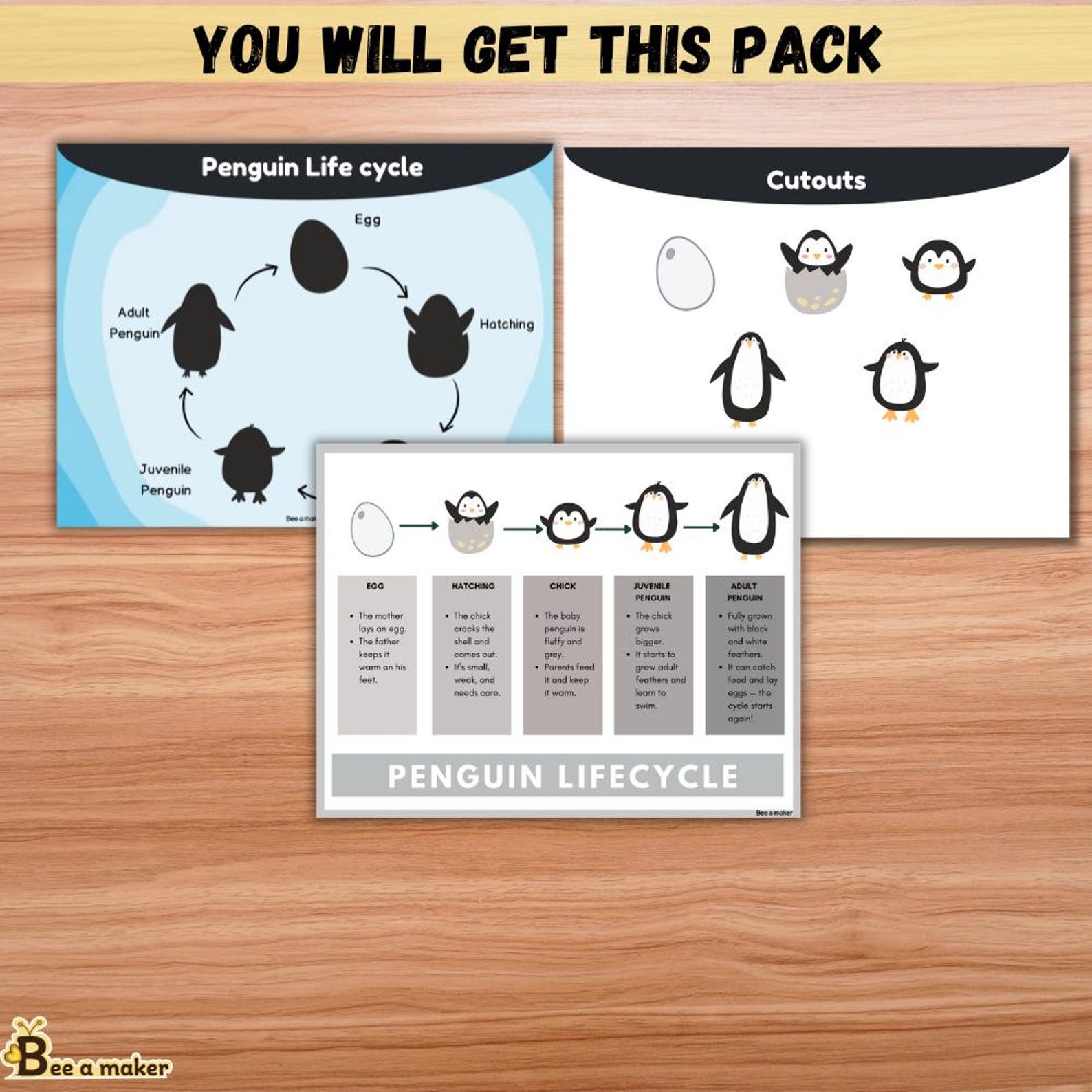 Penguin Life Cycle Activity | 5-stage Busy Book Page Printable ...