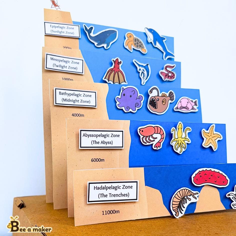 Layers of Ocean Printable Pdf, Science Model - Etsy