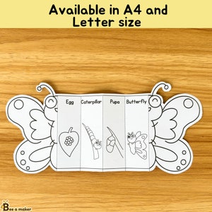 Butterfly Life Cycle Foldable - Etsy