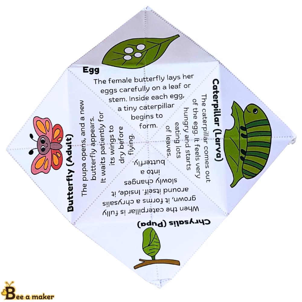 Butterfly Life Cycle Cootie Catcher | Printable Science Activity for ...