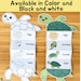 Turtle Life Cycle Foldable - Etsy