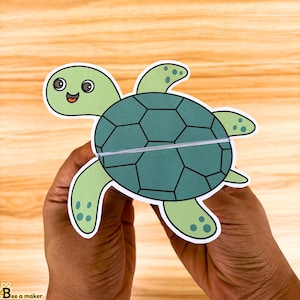 Turtle Life Cycle Foldable - Etsy