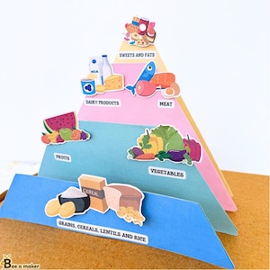 Food Pyramid Science Activity, Model or Project - Etsy