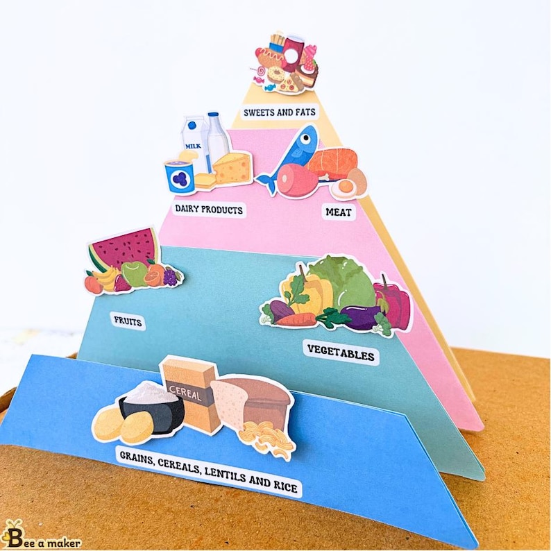 Food Pyramid Science Activity, Model or Project - Etsy