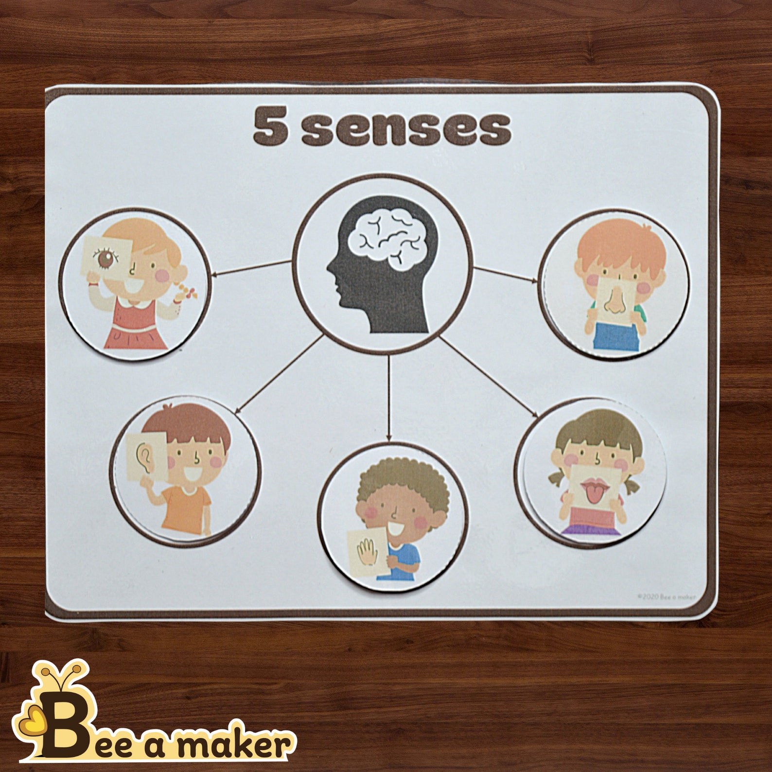 Buy Five Sense Sorting Mats Activity Online in India - Etsy
