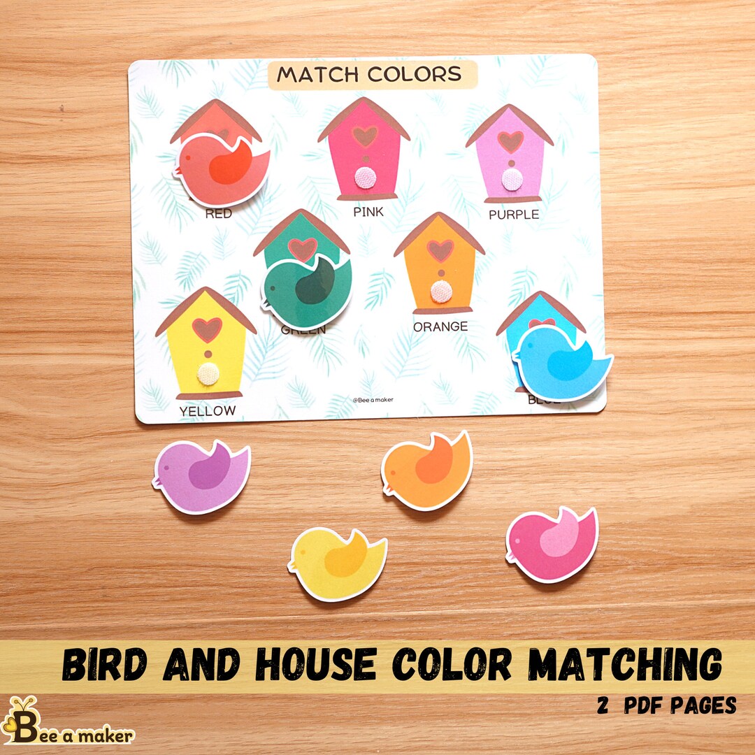 Color Matching Bird and House Busy Book Activity Page - Etsy