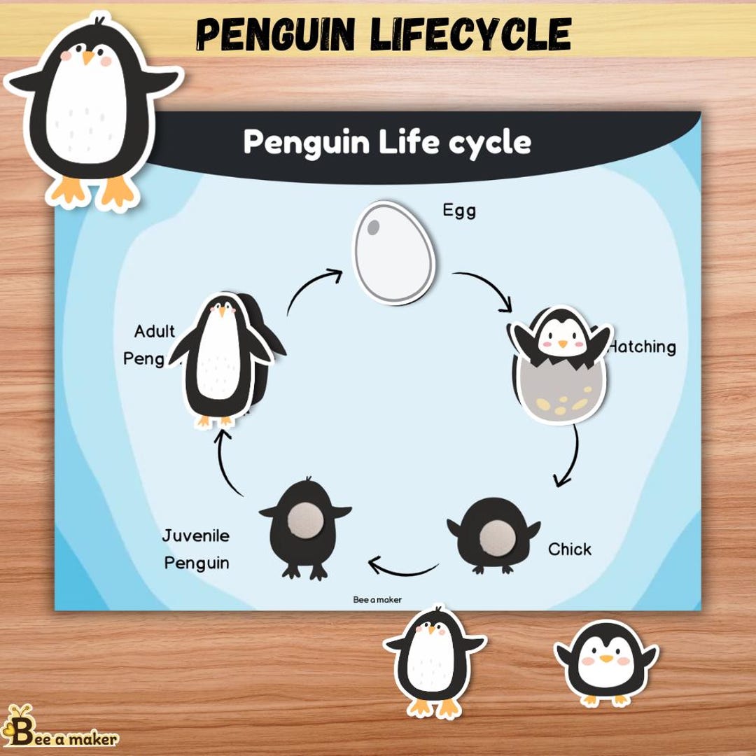 Penguin Life Cycle Activity | 5-stage Busy Book Page Printable ...