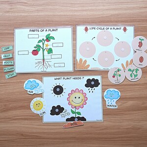 Parts of a Plant, Lifecycle and Needs of Plant Unit for Kids - Etsy