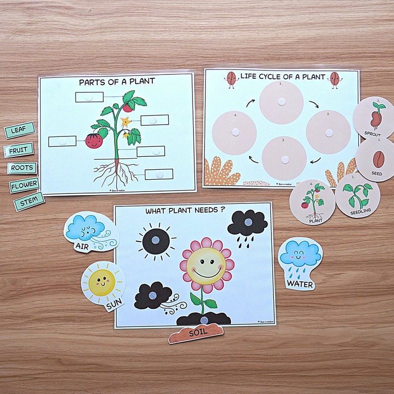 Parts of a Plant, Lifecycle and Needs of Plant Unit for Kids - Etsy