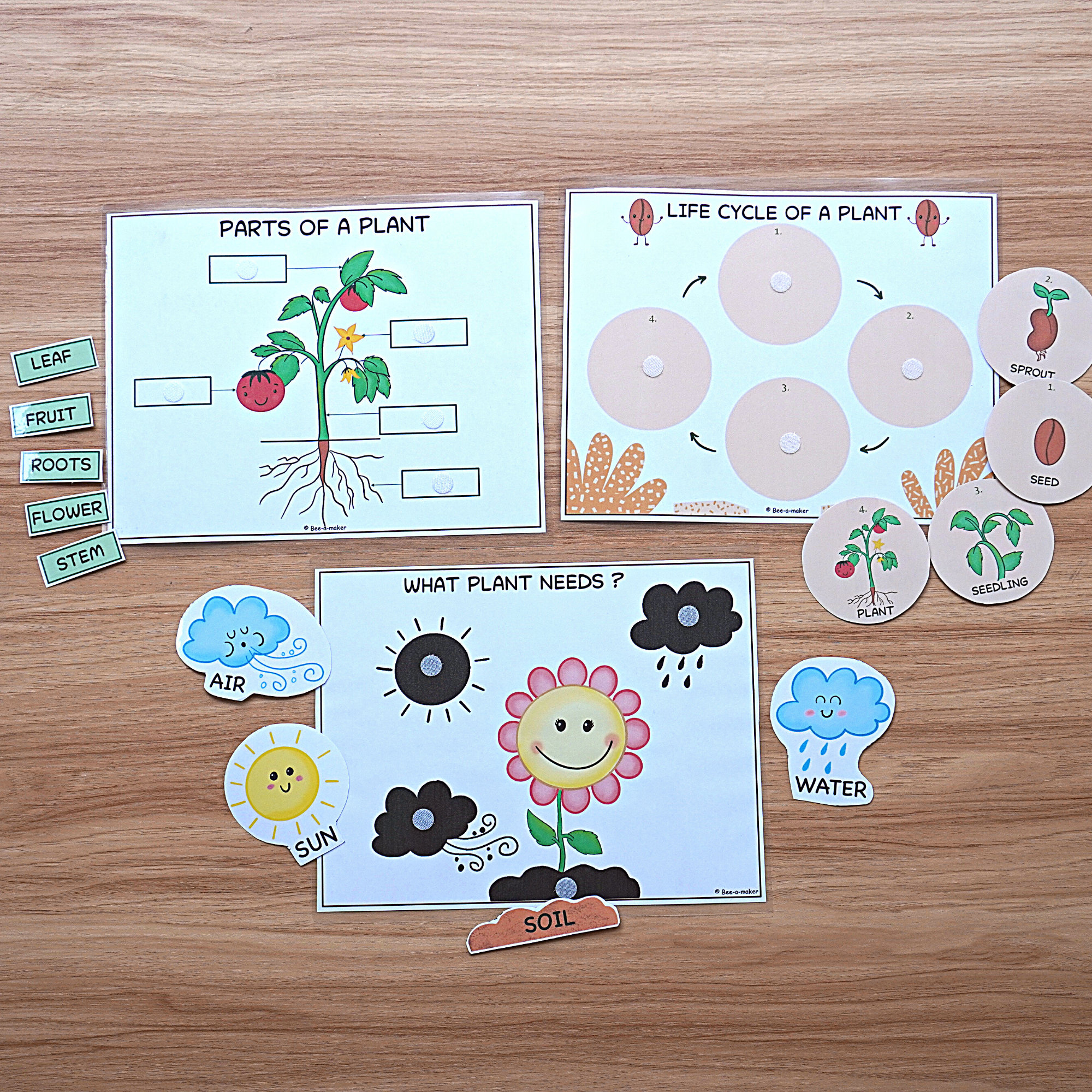 Parts of a Plant Lifecycle and Needs of Plant Unit for Kids - Etsy