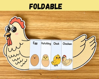 Chicken Life Cycle Activity | Chicken Craft Foldable Template | Life ...