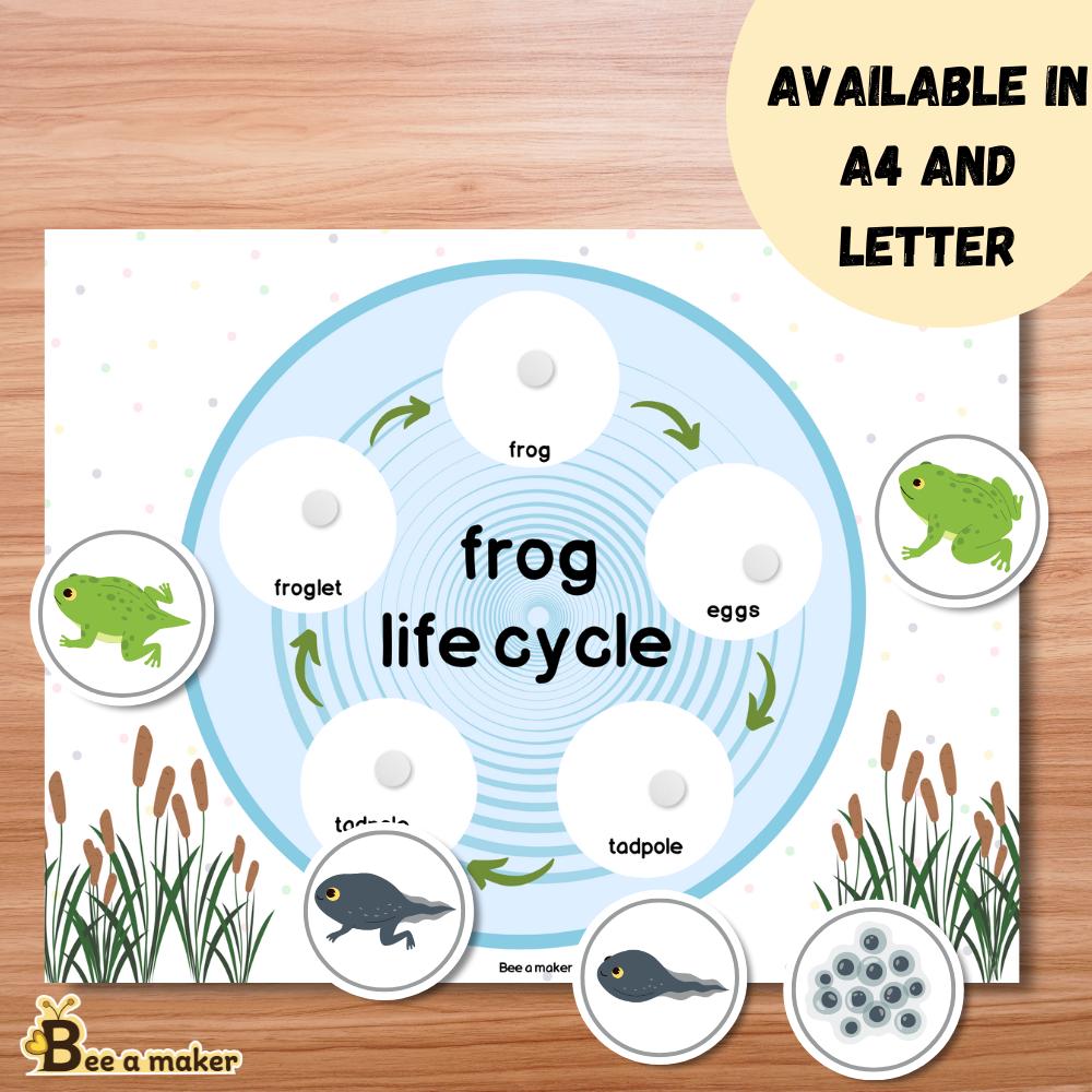 Frog Life Cycle Activity | Montessori Science Printable | Preschool ...