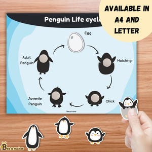 Penguin Life Cycle Activity | 5-stage Busy Book Page Printable ...