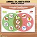 Animal Classification Busy Book Page – Food Habits Sorting Science ...