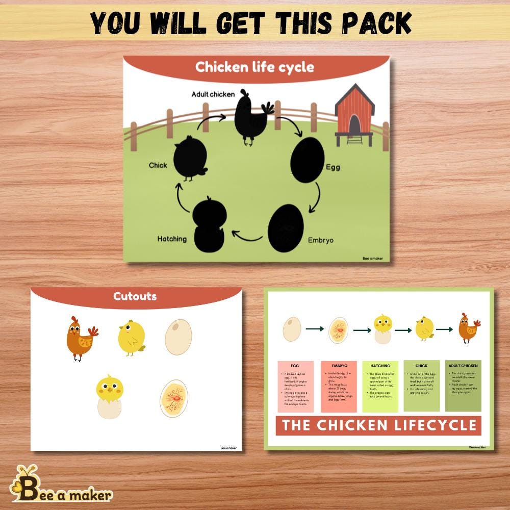 Chicken Life Cycle Busy Book Printable | A4 & Letter Size | Montessori ...