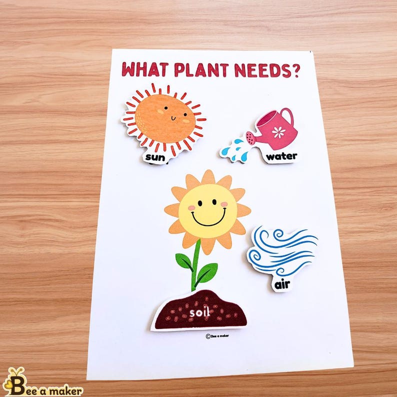 Parts of Plant & Plant Life Cycle Activity | What Plants Need ...