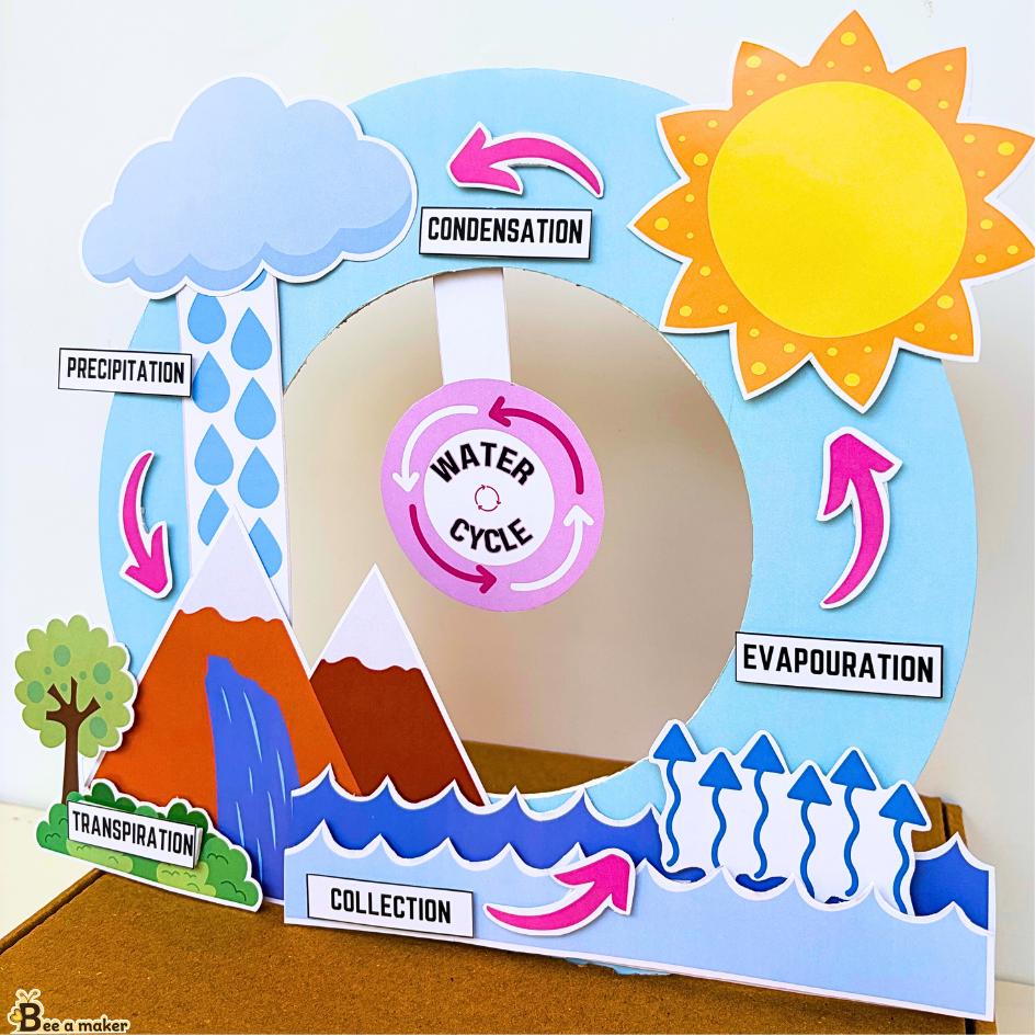 Water Cycle Model, Science Activity, STEM Activity or Project - Etsy