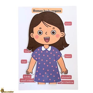 Human Body Organs Pdf | Science Busy Book | Human Anatomy | Printable ...