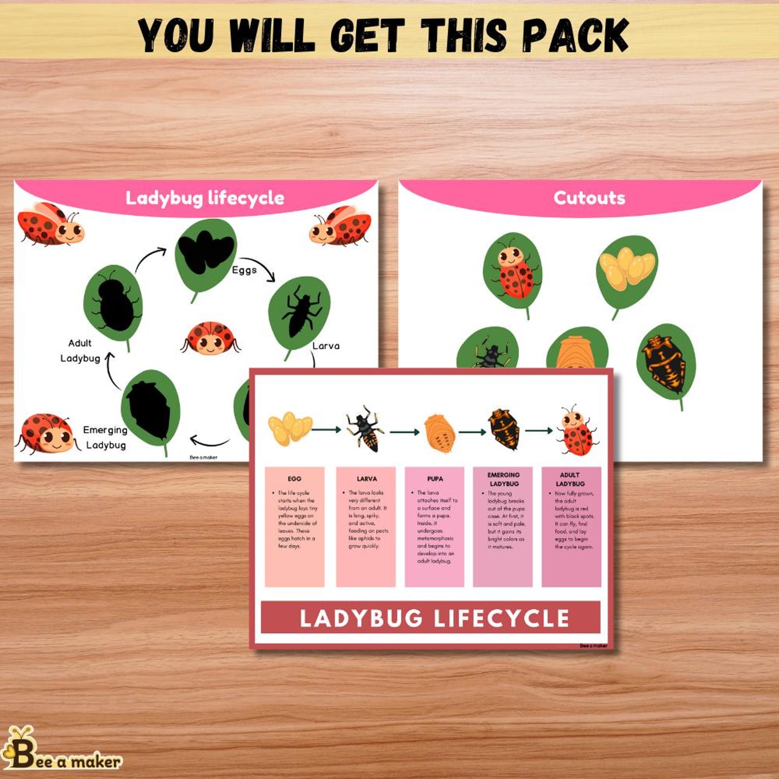 Ladybug Life Cycle Busy Book Page | Printable Activity | Montessori ...