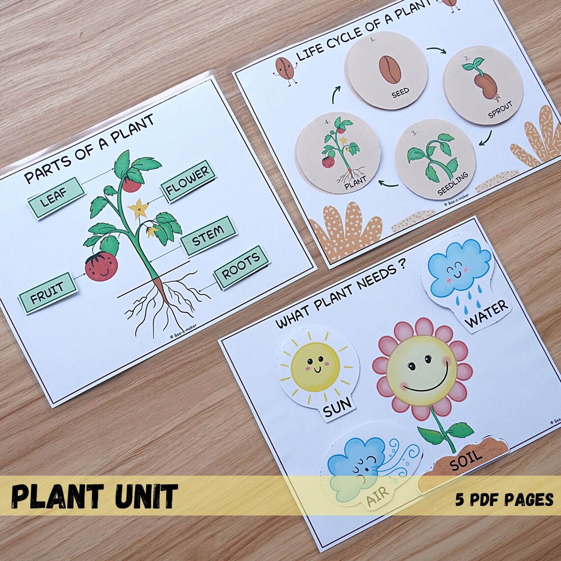 Parts of a Plant Lifecycle and Needs of Plant Unit for Kids - Etsy