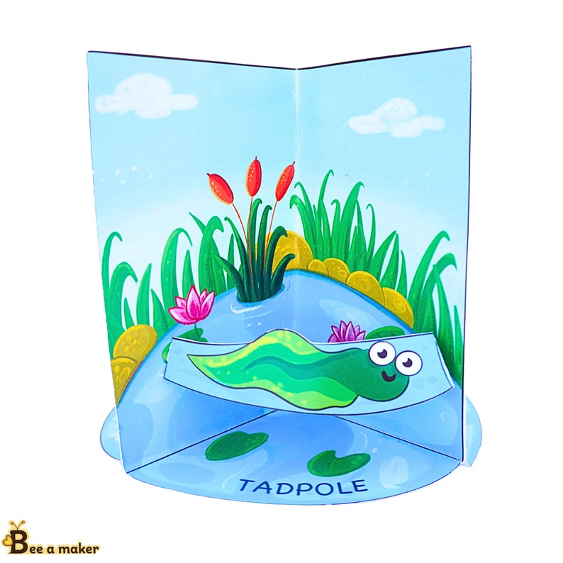 Frog Lifecycle 3D Craft DIY Printable Activity - Etsy