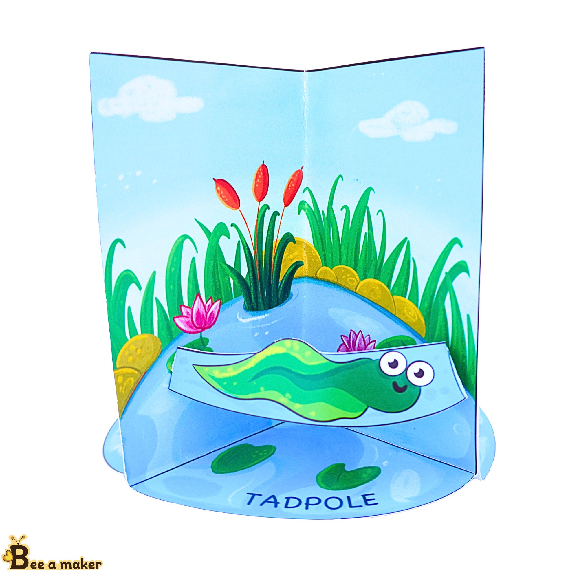 Frog Lifecycle 3D Craft DIY Printable Activity - Etsy