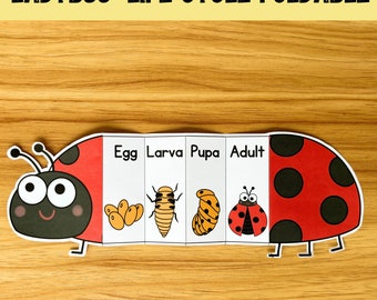 Ladybug Wheel Printable Life Cycle of Ladybug Preschool Craft ...