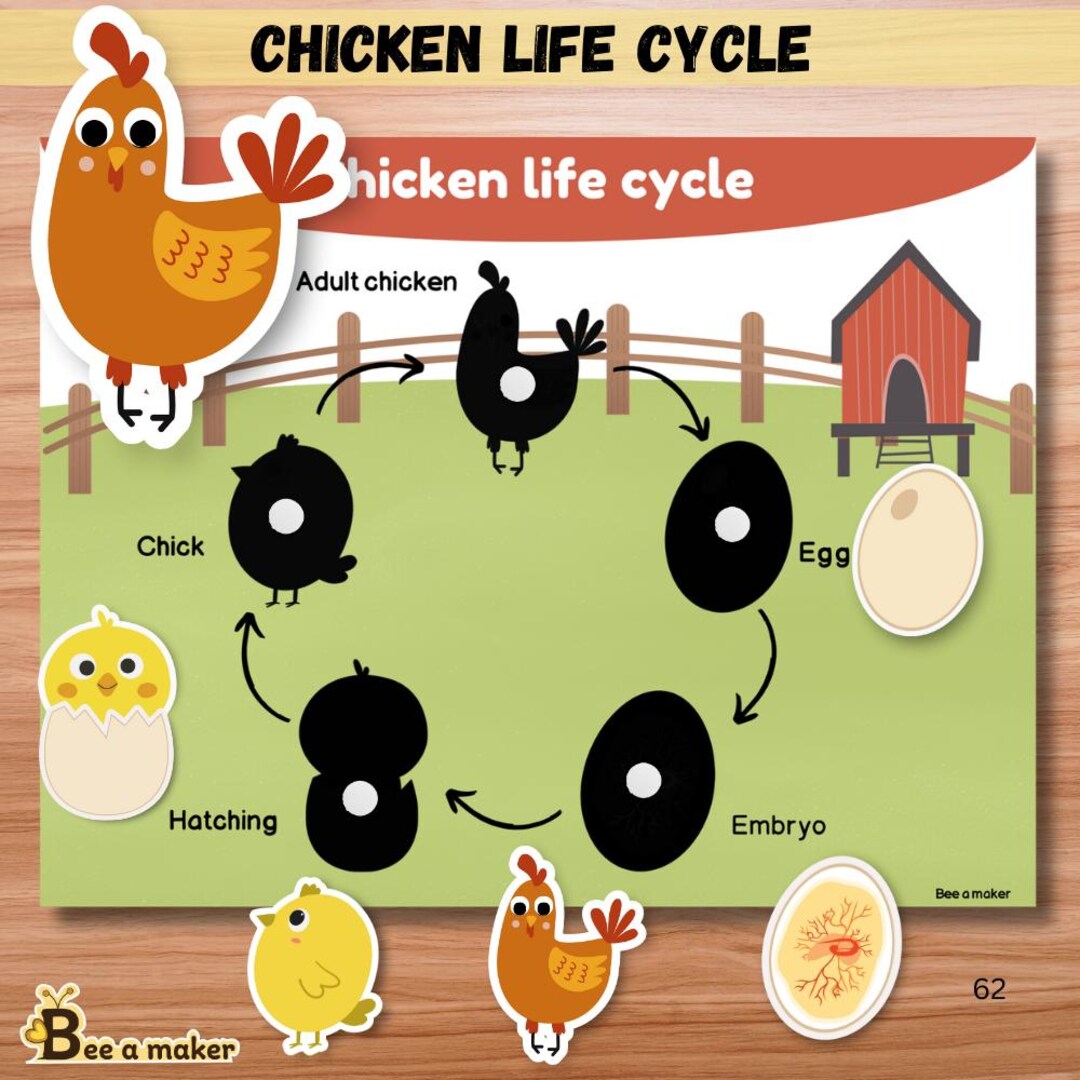 Chicken Life Cycle Busy Book Printable | A4 & Letter Size | Montessori ...